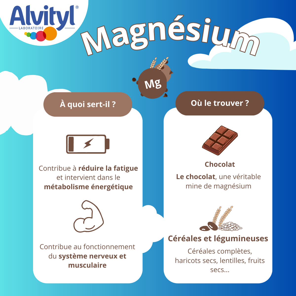 Magnésium : source, bienfaits et aliments riches en magnésium
